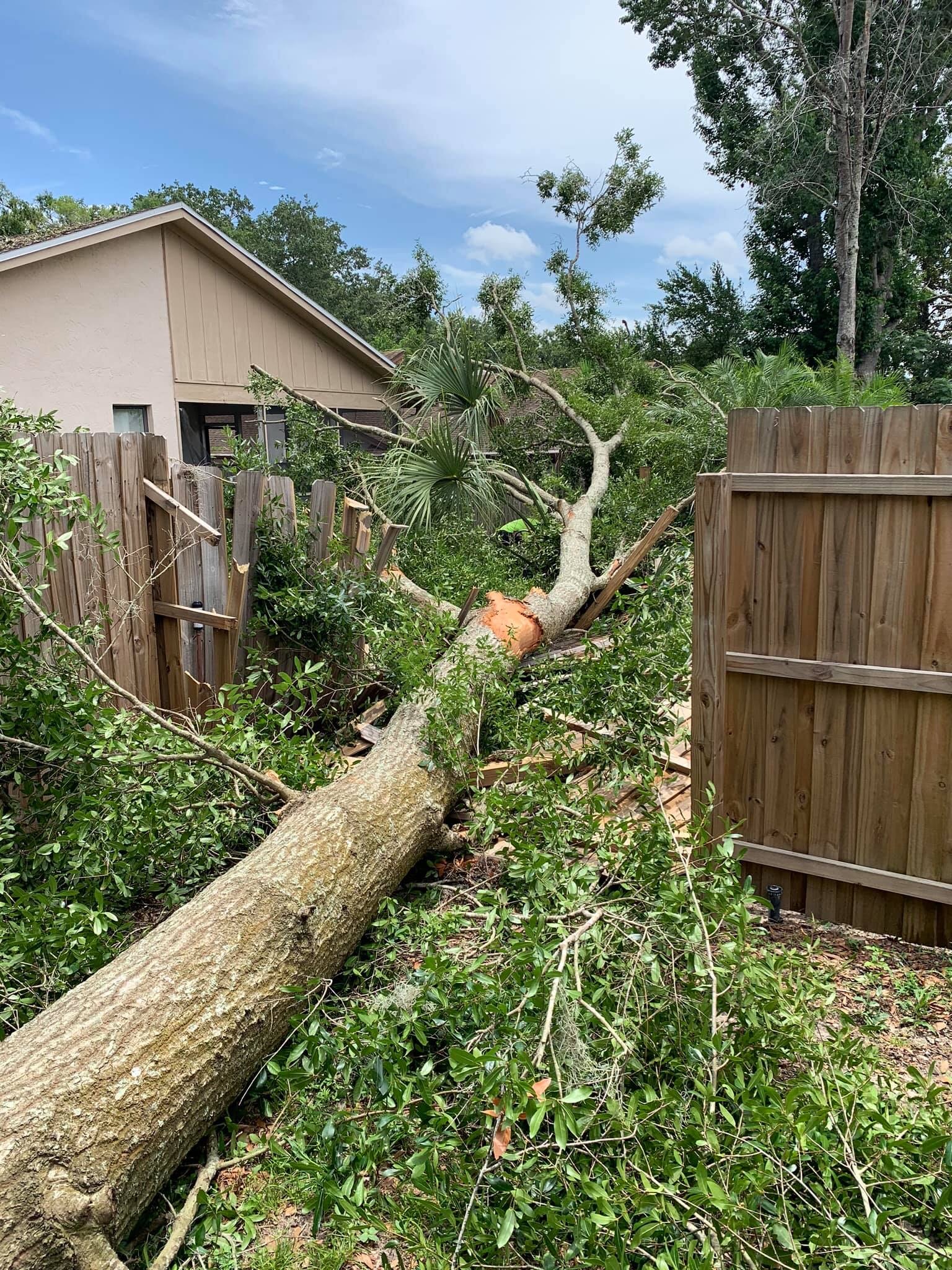 Hurrican Season is here are your trees ready? MidFlorida Tree Care